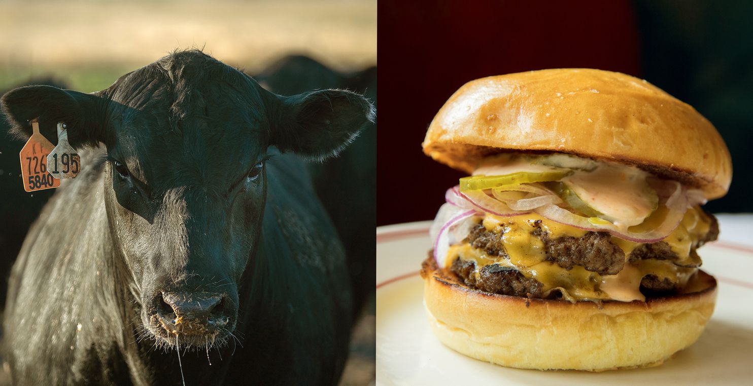 The human cost of a $20 burger during a pandemic and beef supply chain ...